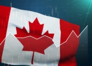 Wealth Distribution in Canada - Crusoe Economics
